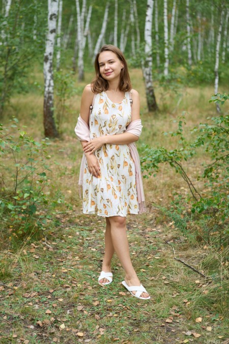 Birch Wood — Yenn Cat